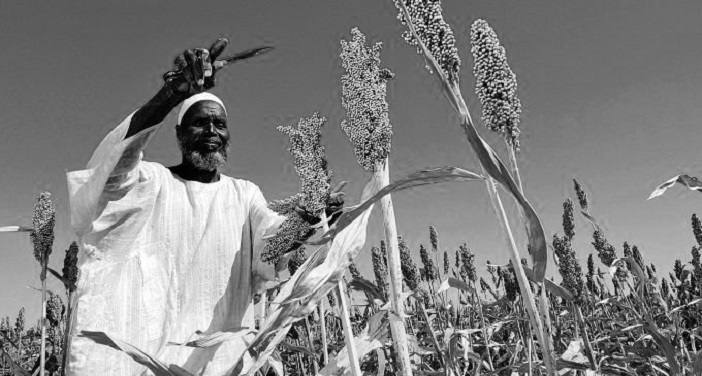 AFRIQUE – Imaginer l’industrialisation de l’Afrique - The Maghreb and ...